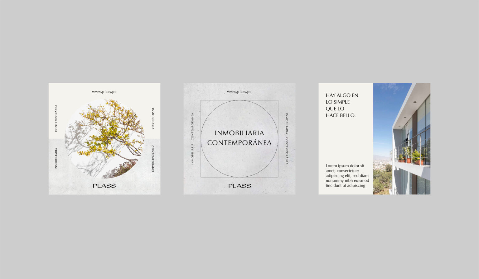Plass – Sed